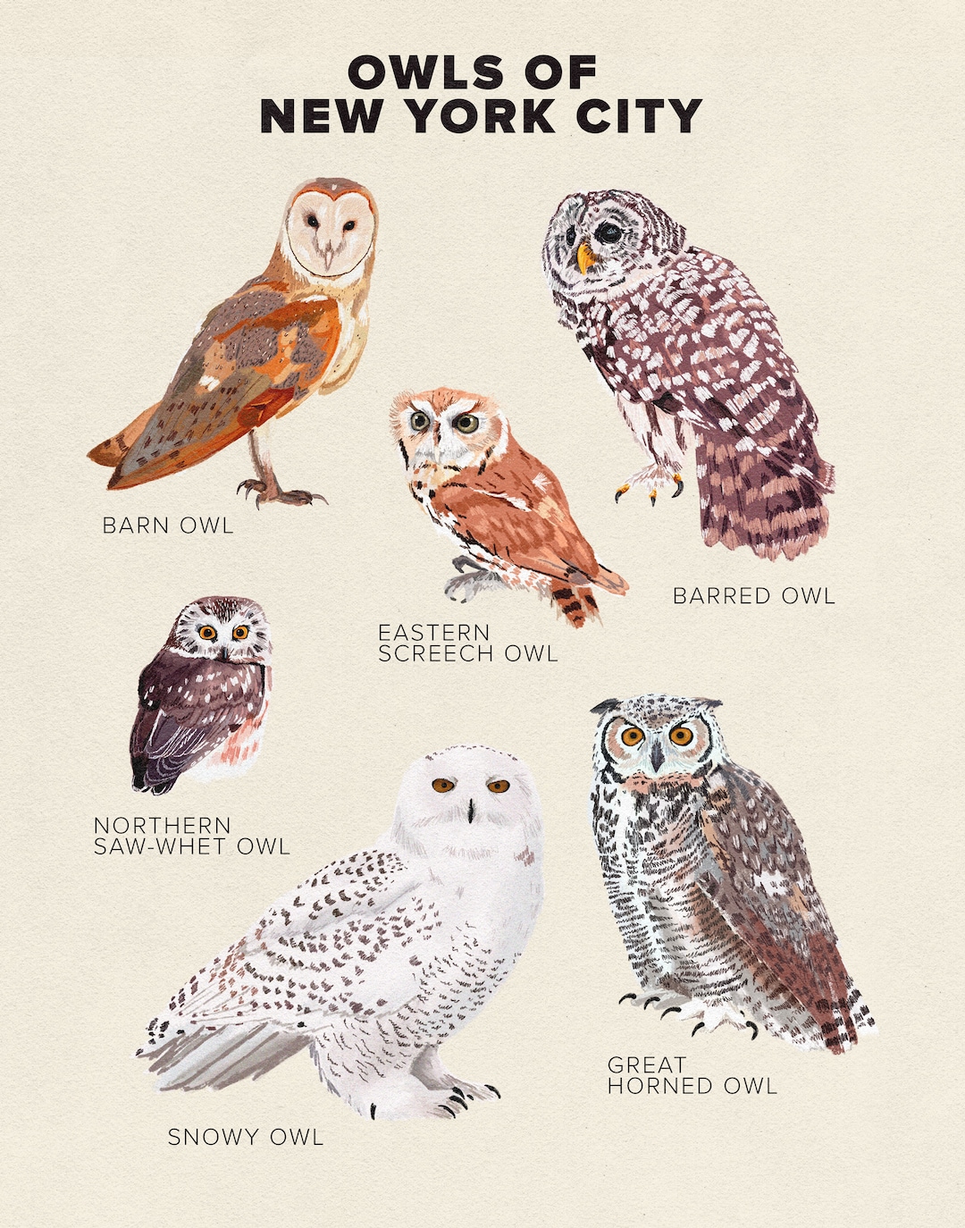 Owls of New York City 11x14 - Etsy