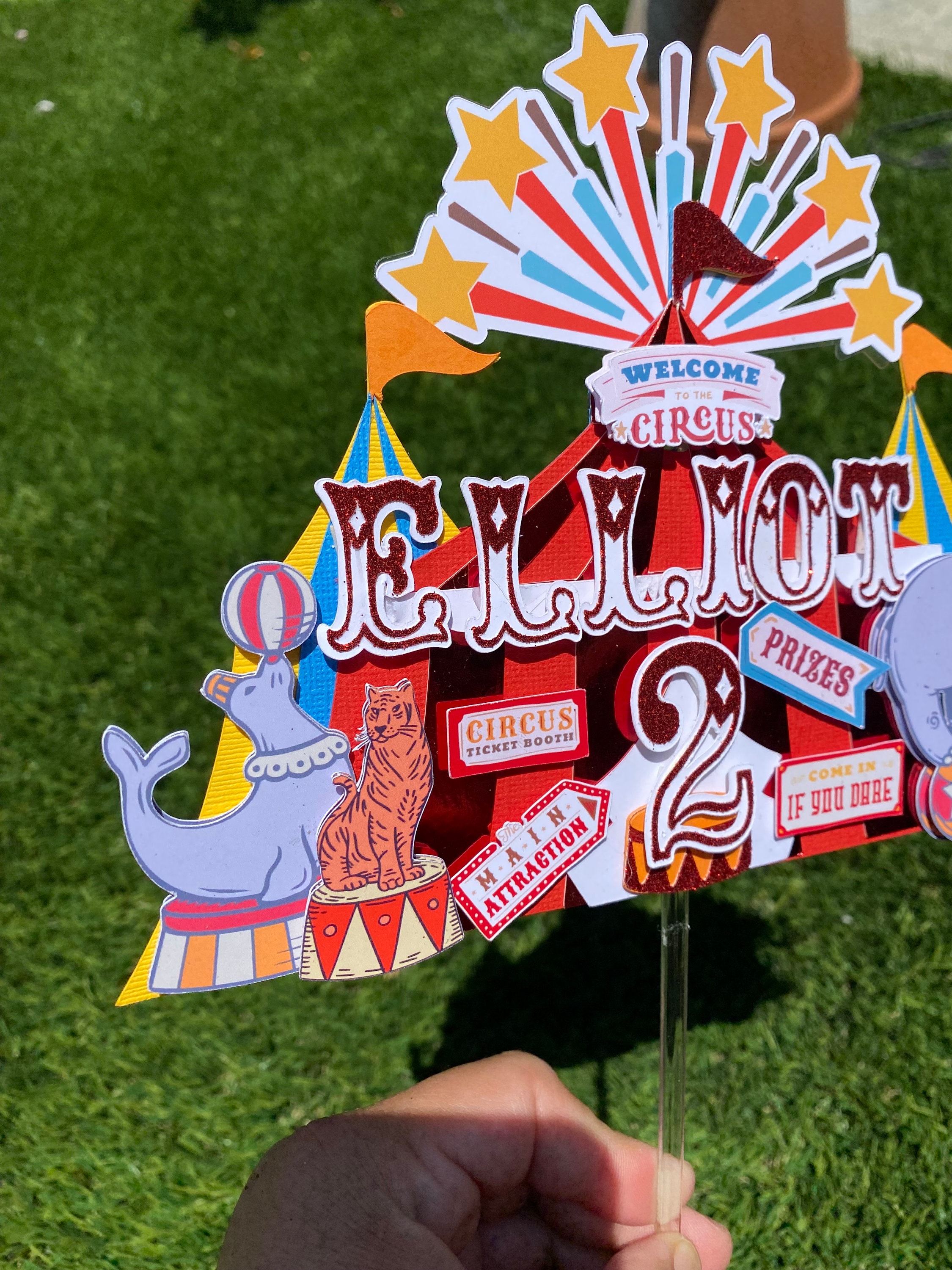 Circus String Lights