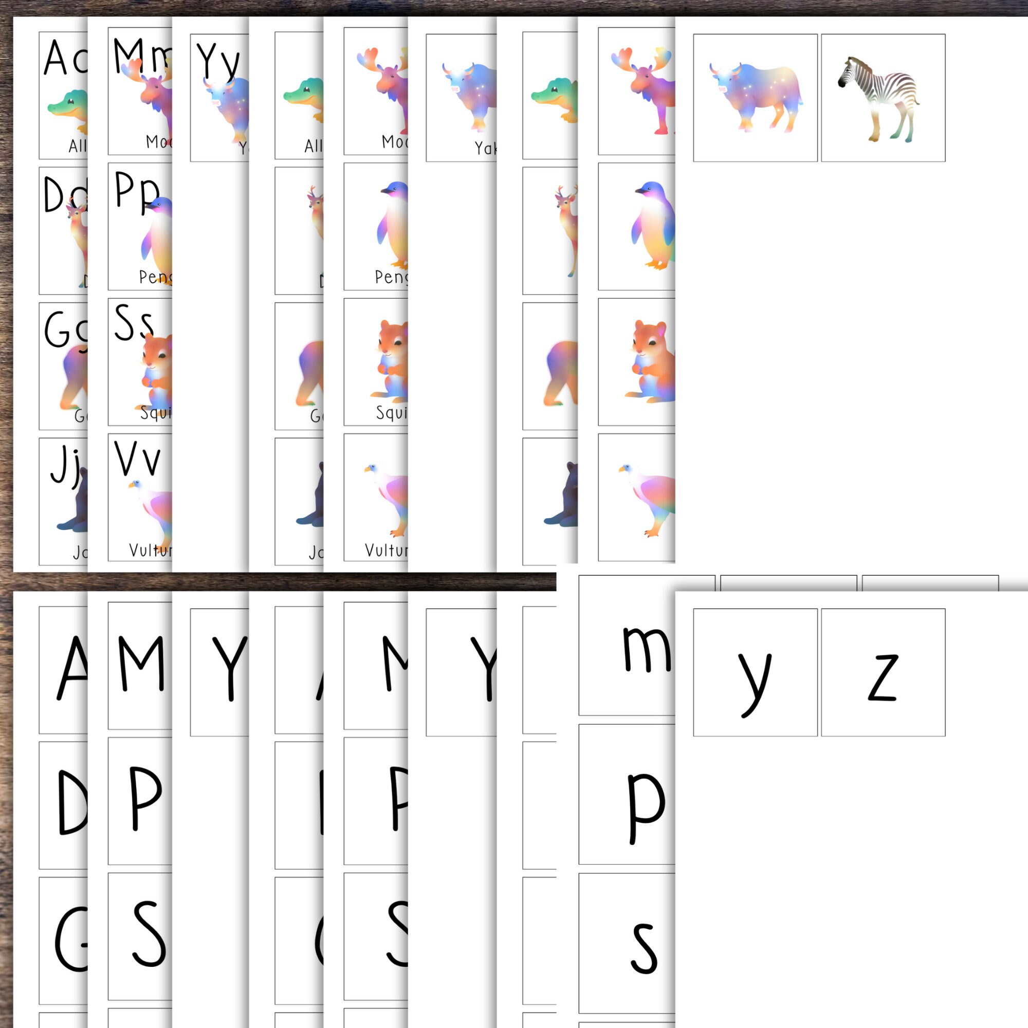 Printable Preschool and Kindergarten Animal Alphabet Flash - Etsy