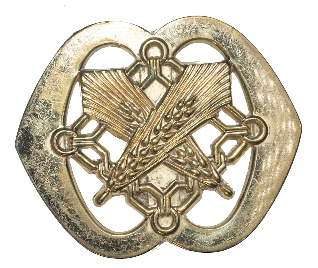 Netherlands Military Beret Badge: Intendance - Etsy