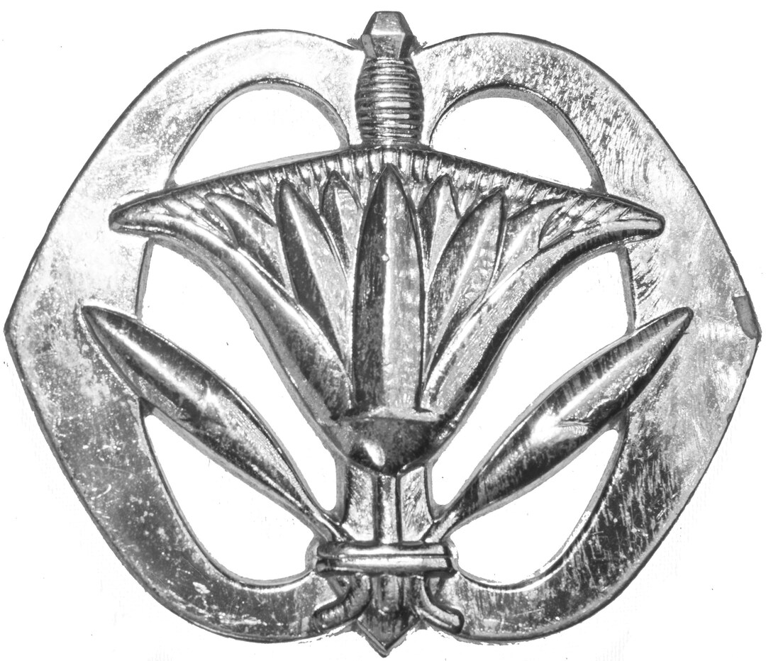 Netherlands Military Beret Badge: Korps Militaire - Etsy