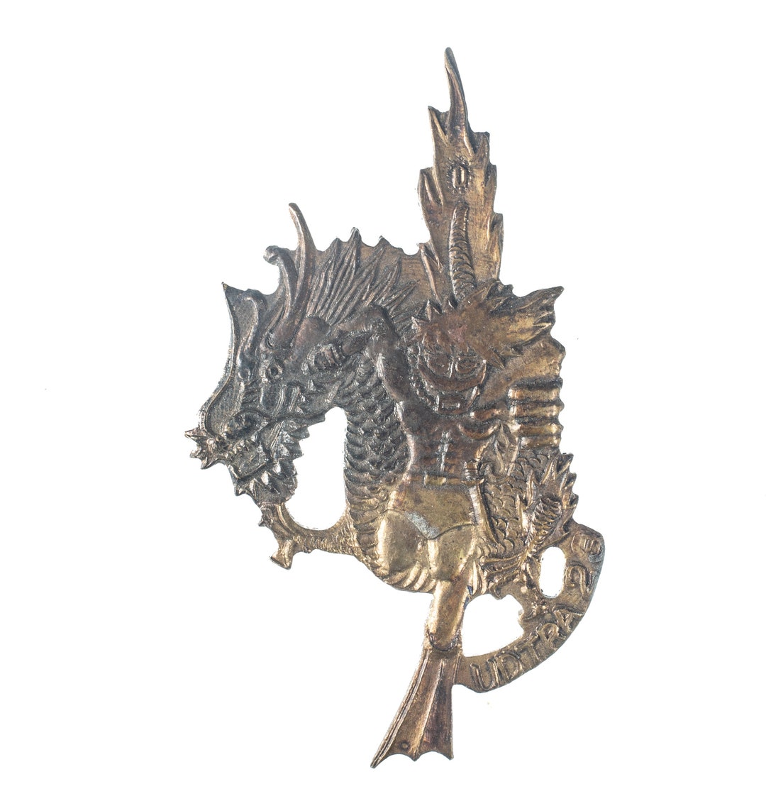Taiwan Sea Dragon Frogman Badge - Etsy