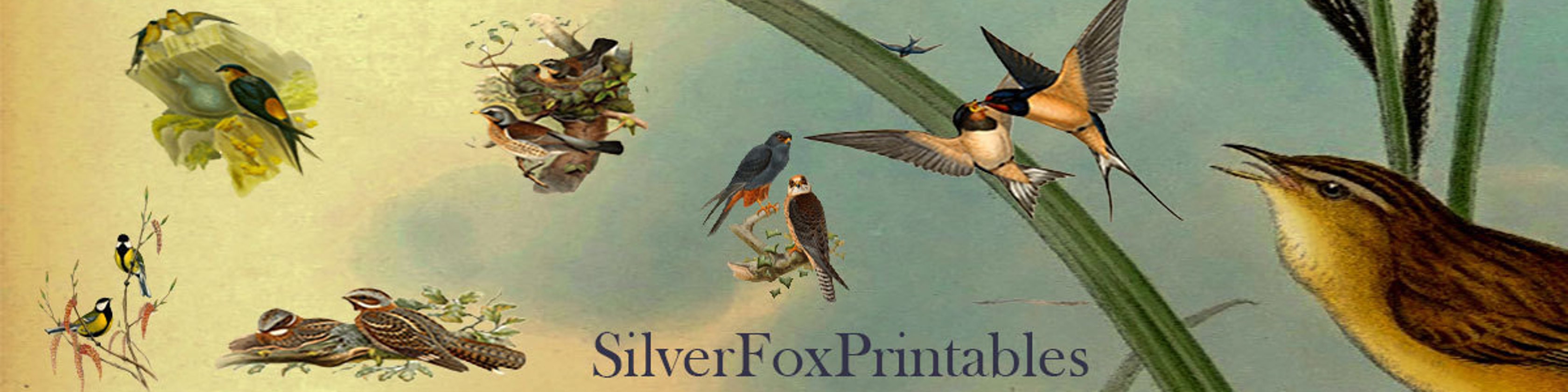 SilverFoxPrintables - Etsy UK