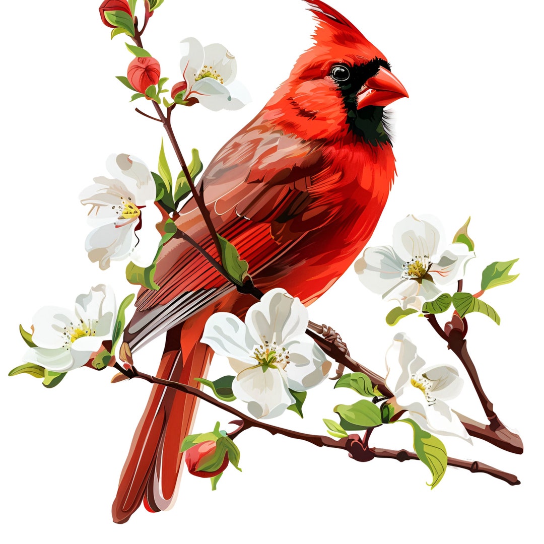 Red Cardinal Printable, Red Cardinal Digital Download - Etsy