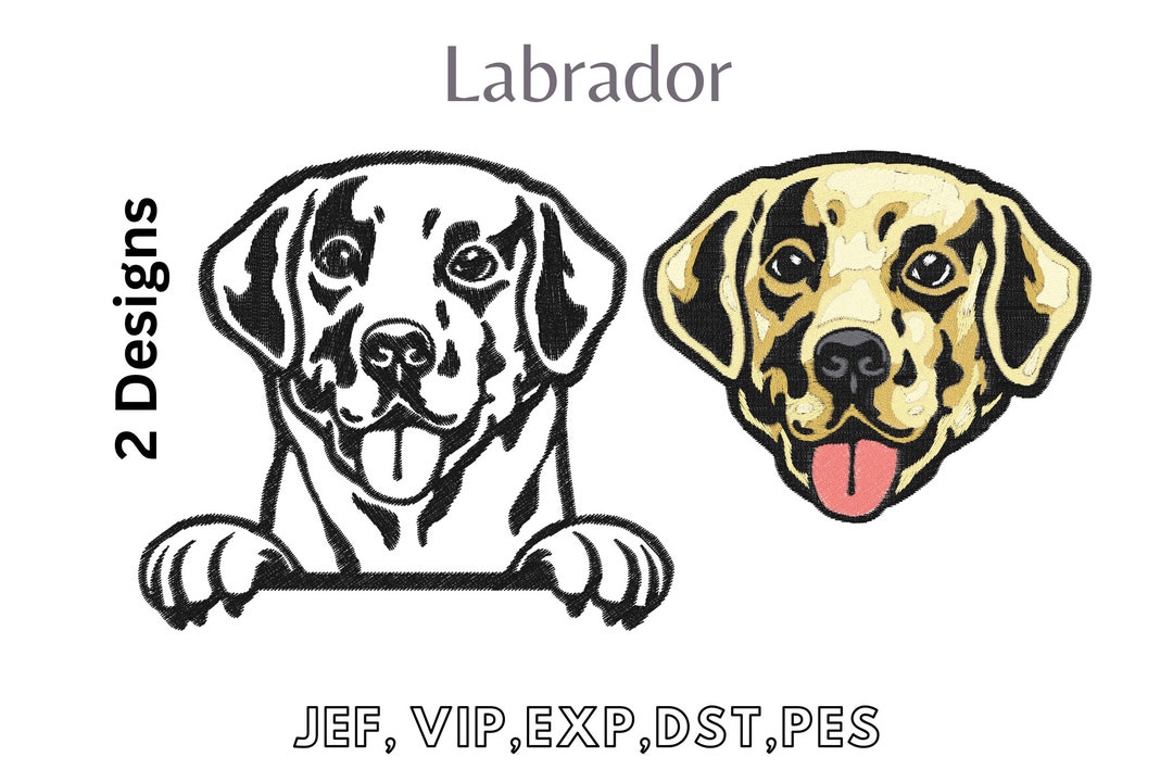 Labrador Dog Breed, Embroidery Design, Easy Machine Embroidery, Digital ...