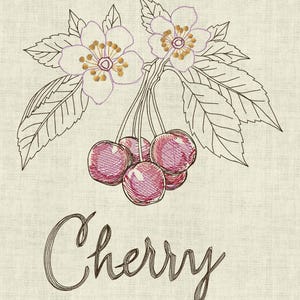 Cherry Embroidery Design: Botanical Fruit Motif (instant Download, 5-7 ...