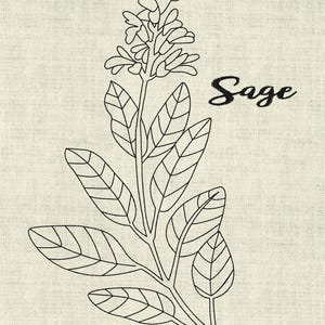 Sage Embroidery Design, Botanical Herbs, Easy Machine Embroidery ...