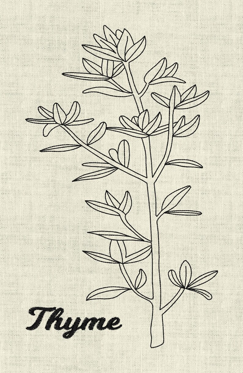 Thyme Embroidery Design, Botanical Herbs, Easy Machine Embroidery ...