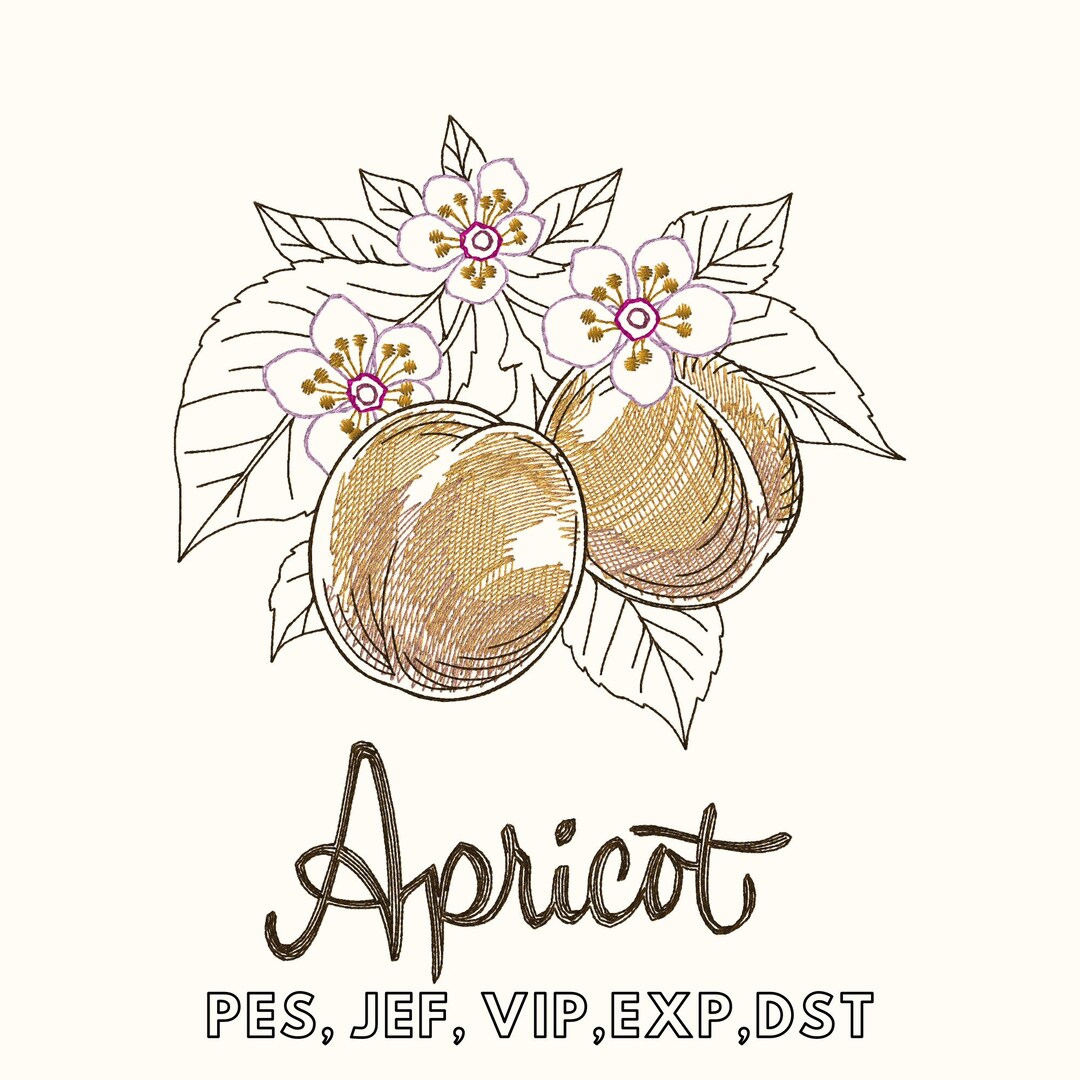 Apricot Embroidery Design: Botanical Fruit Pattern (digital Download ...