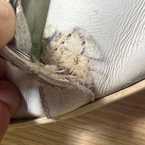 Gucci Ace Embroidered Pineapple Lady Bug Gold Stars Trainer/sneakers ...