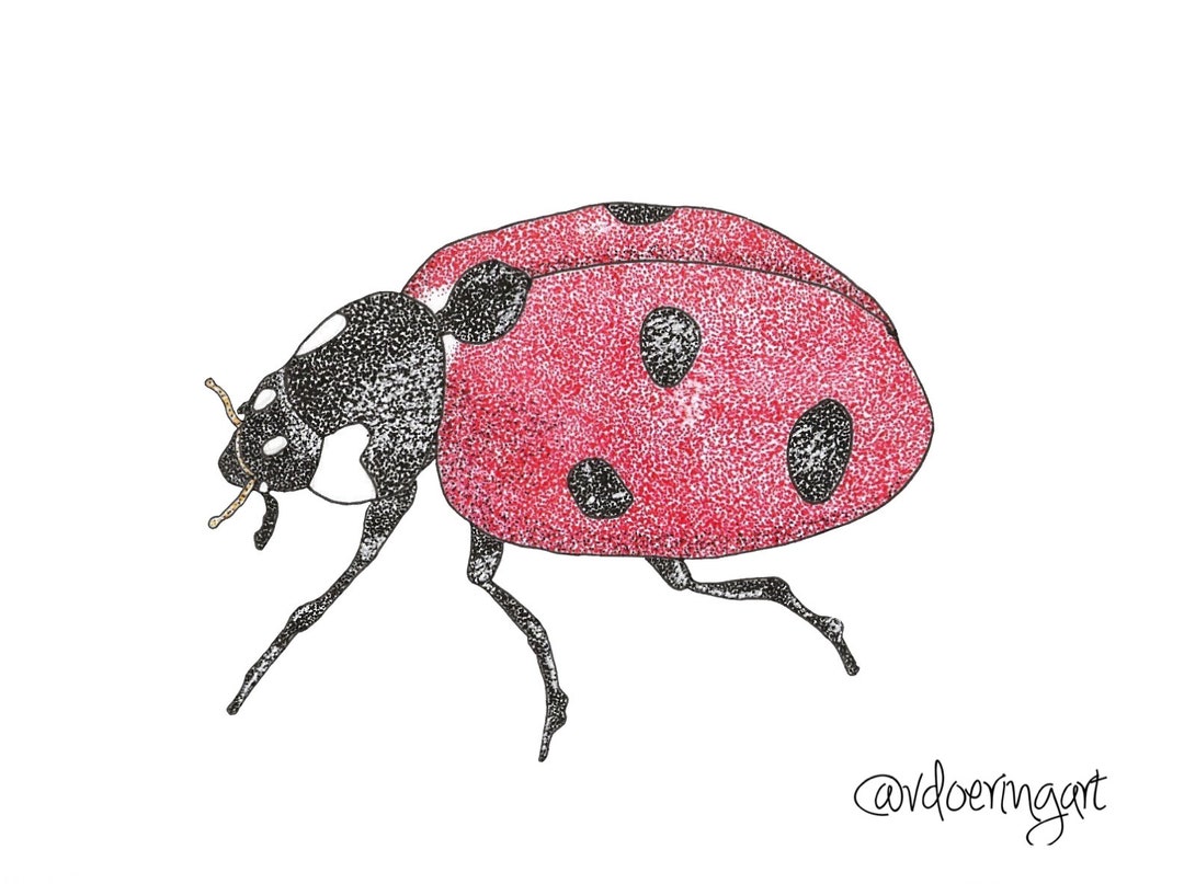 Ladybug Print - Etsy