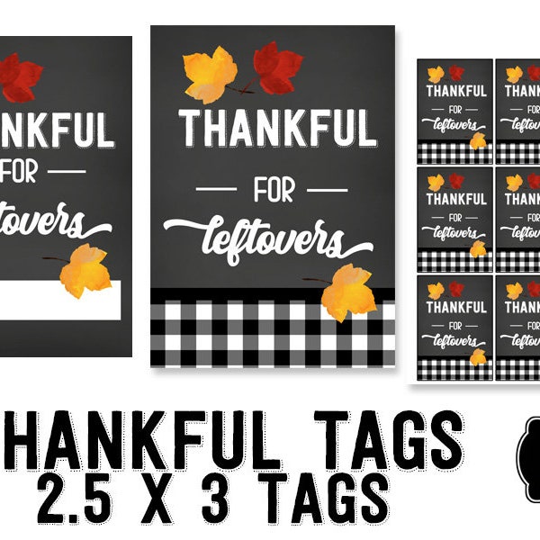 Thanksgiving Leftovers Container - Etsy