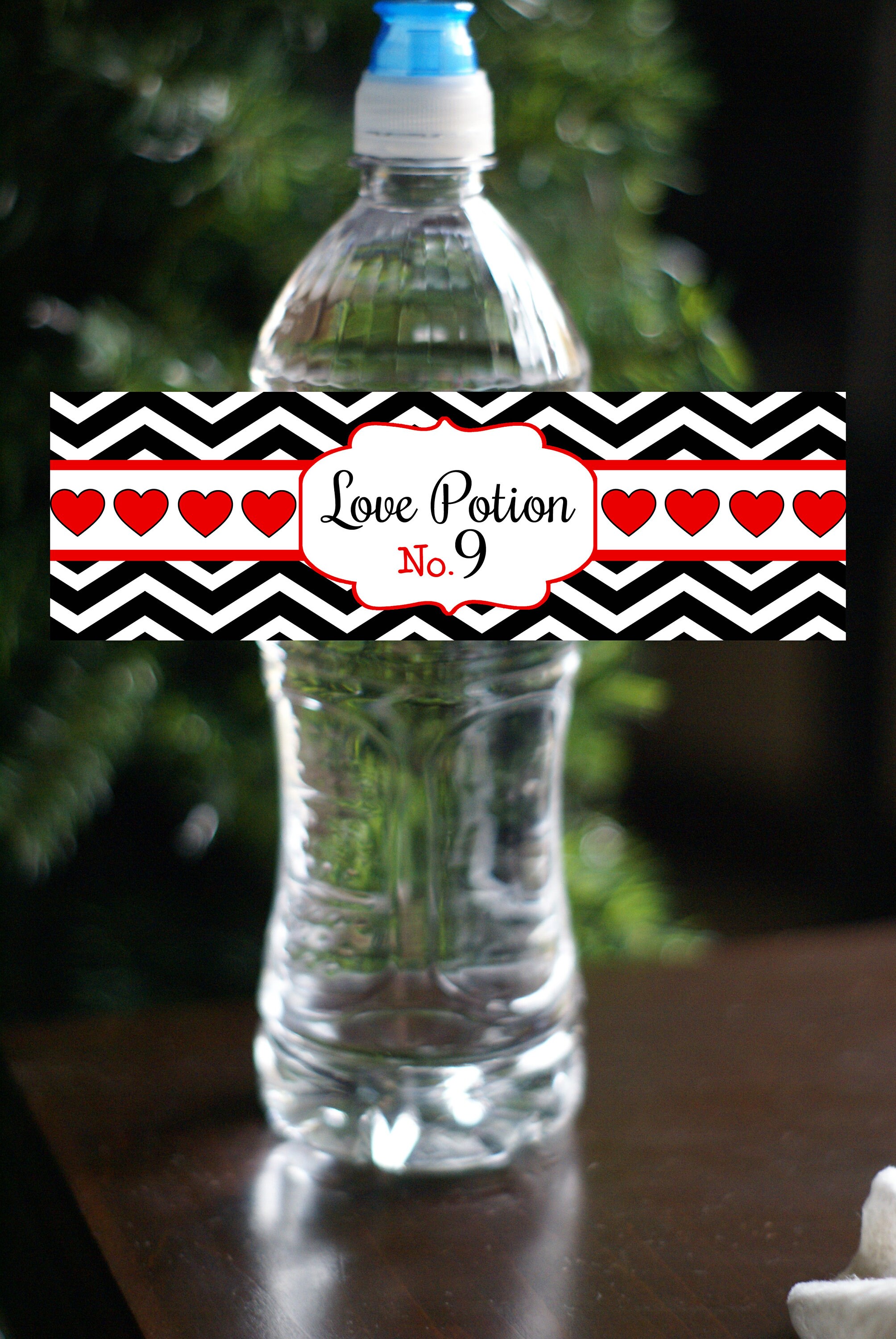 PRINTABLE Valentine Water Bottle Labels Valentine Water Bottle Tags ...