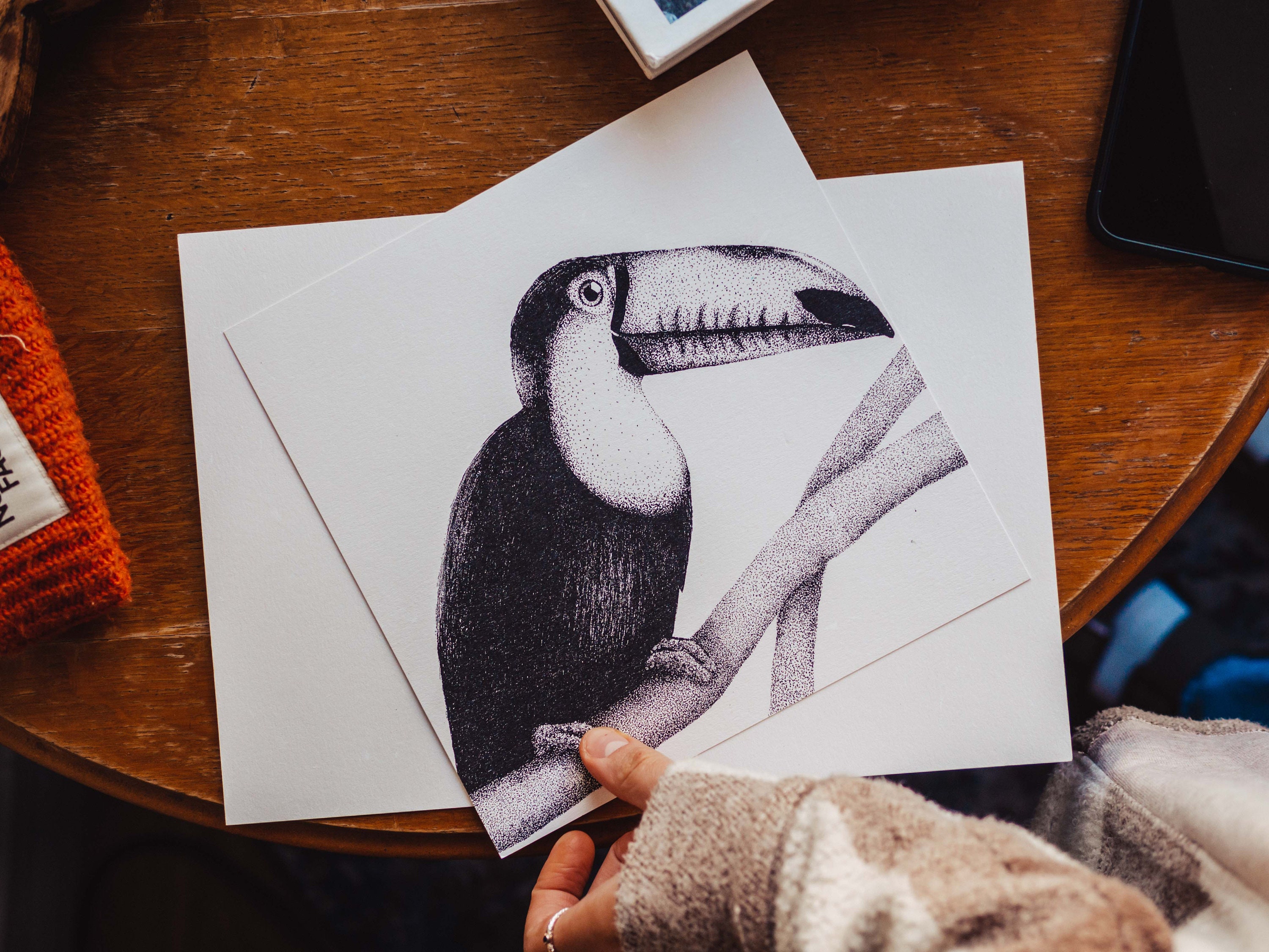 Pen & Ink Art & Collectibles Original pen and ink drawing Toucan ...