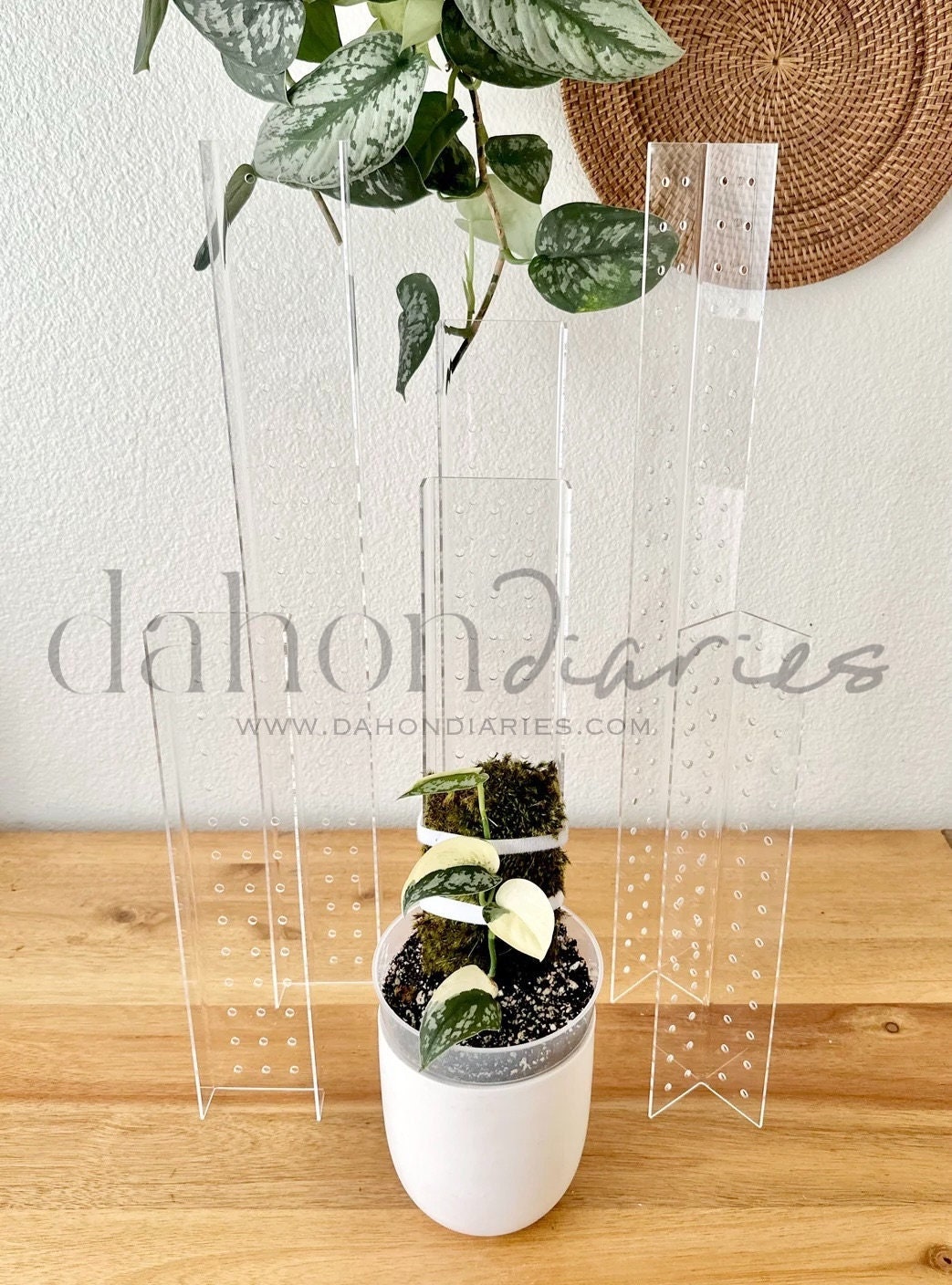 Acrylic Moss Pole Standard - Etsy