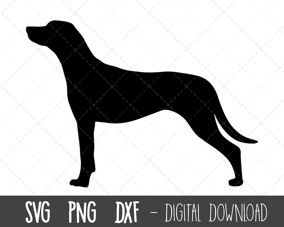 Rhodesian Ridgeback Svg, Dog Svg, Ridgeback Silhouette, Rhodesian ...