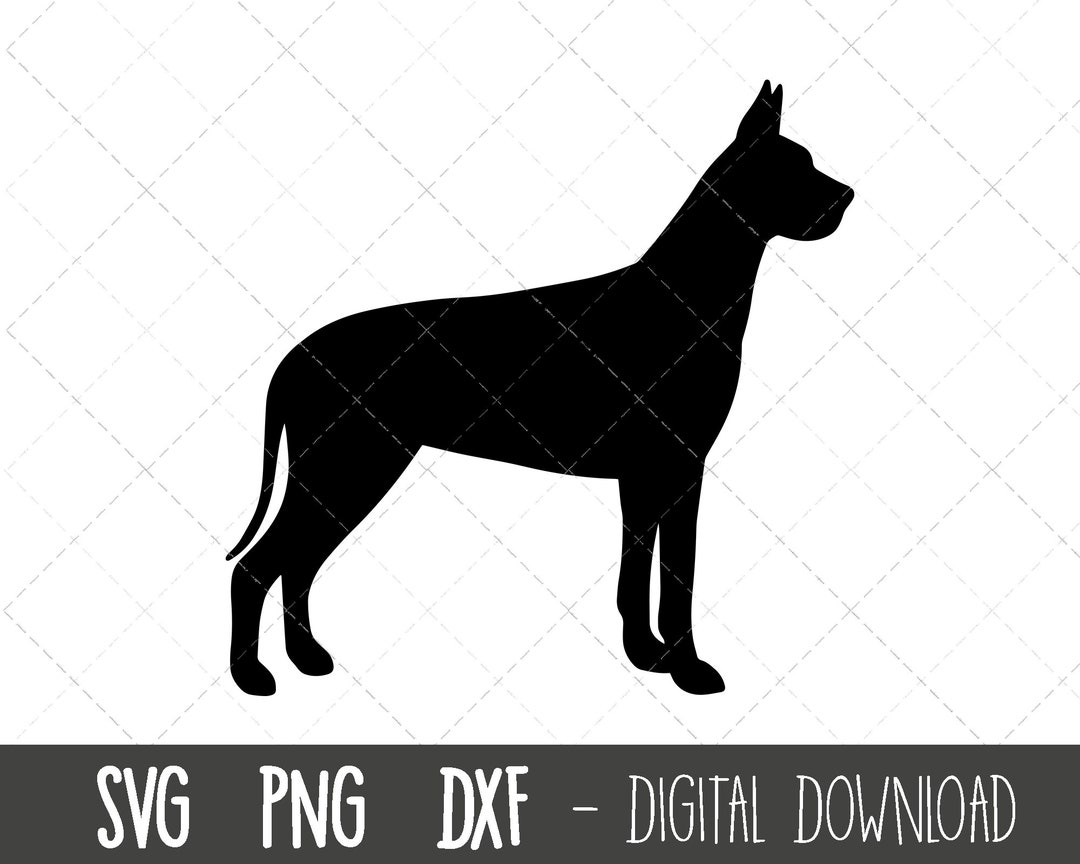 Great Dane Svg, Dog Svg, Great Dane Silhouette, Great Dane Outline Png ...
