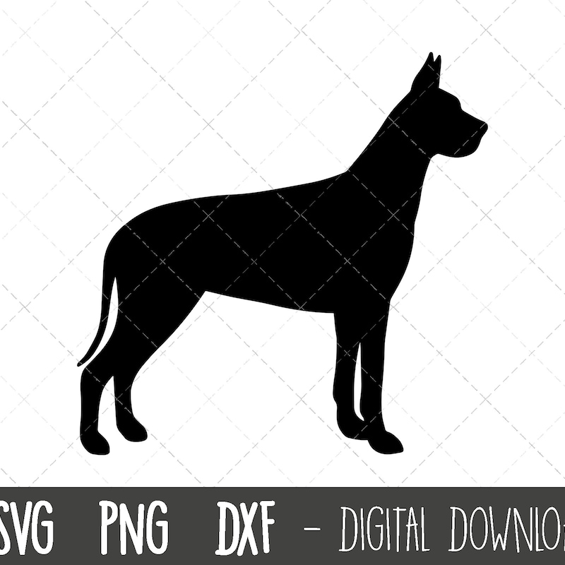 Great Dane Svg - Etsy