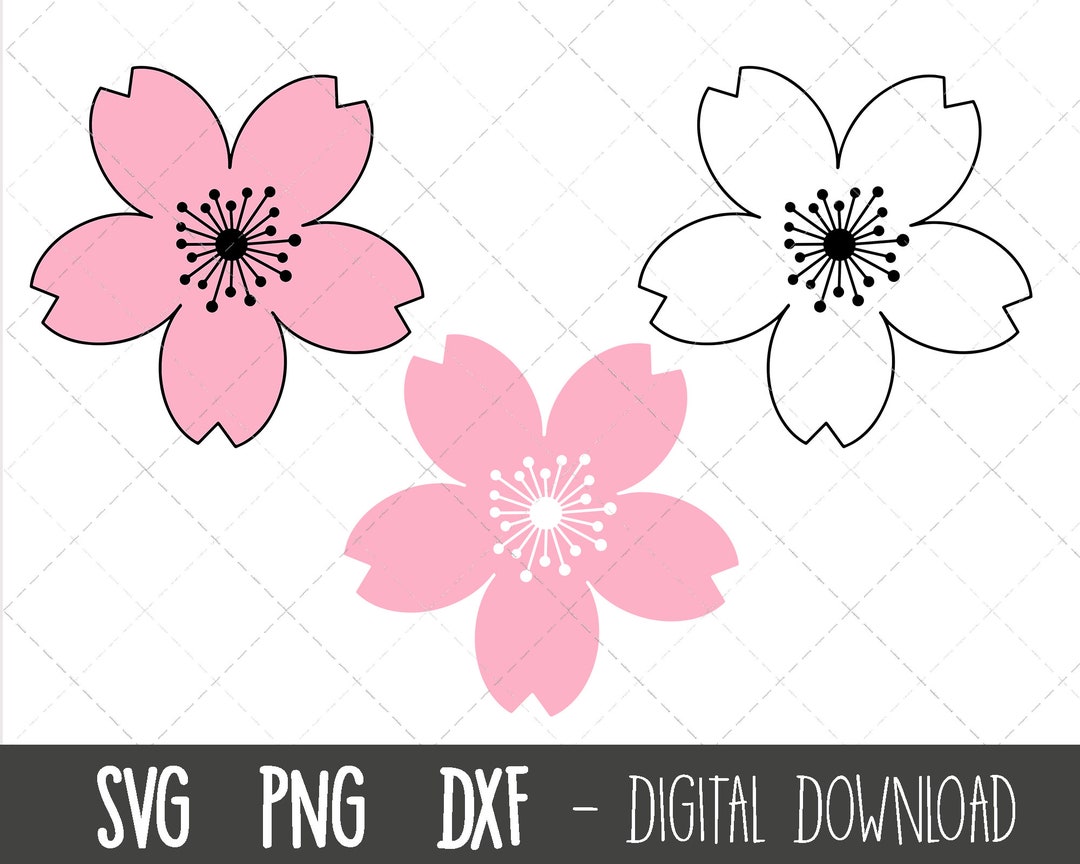 Cherry Blossom SVG, Cherry Blossom Svg Bundle, Flower Svg, Flower ...