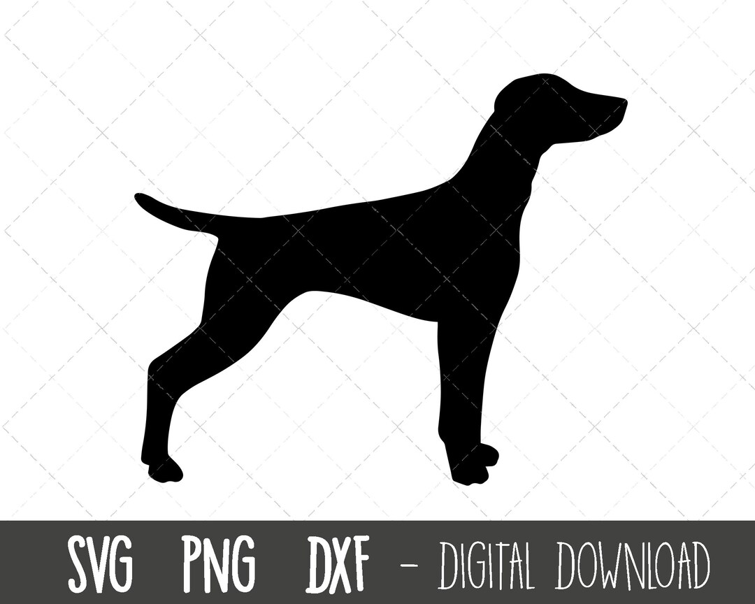 Vizsla Svg, Dog Svg, Vizsla Silhouette, Vizsla Outline Png, Vizsla ... Vizsla Svg, Dog Svg, Vizsla Silhouette, Vizsla Outline Png, Vizsla ...