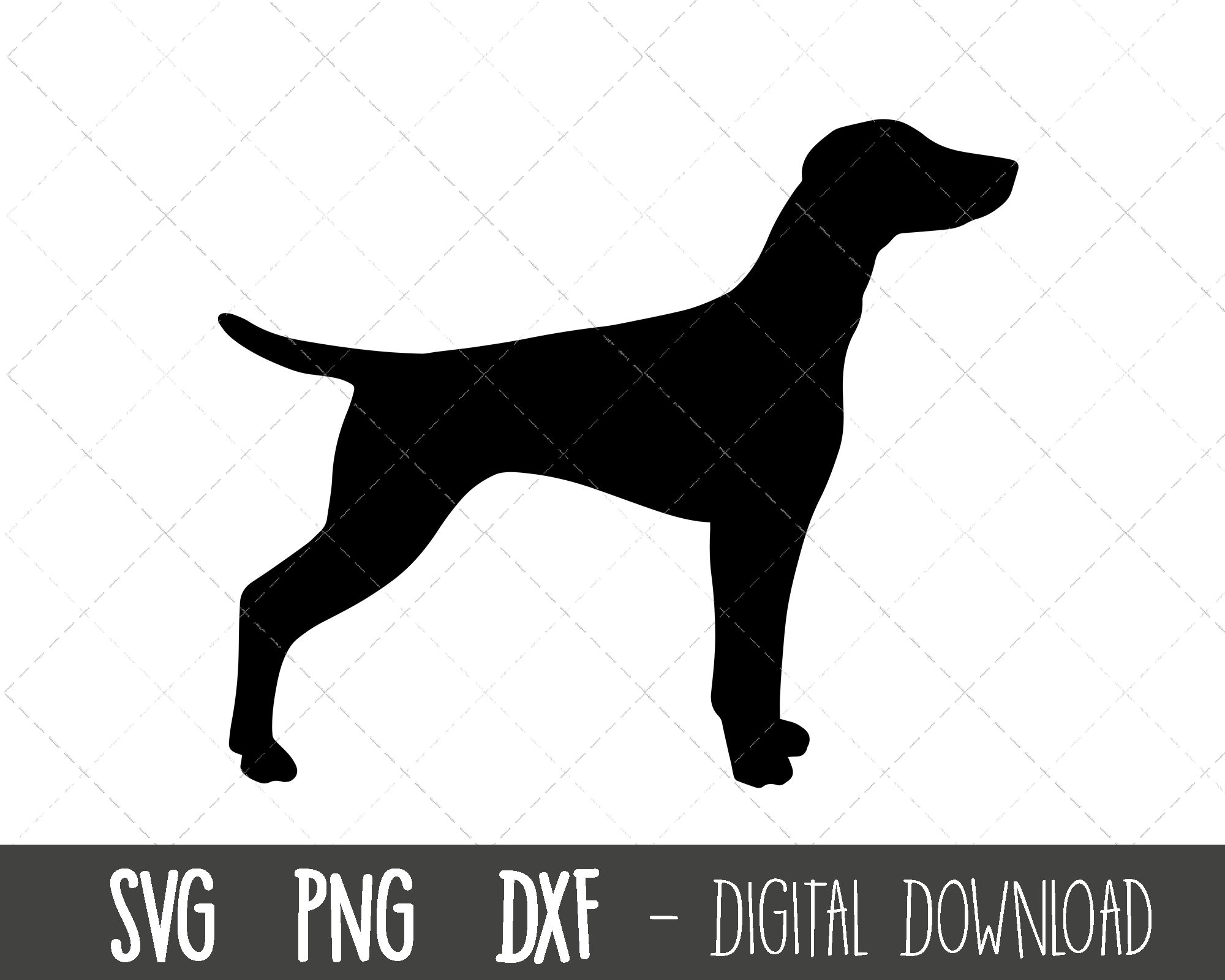 Vizsla Svg, Dog Svg, Vizsla Silhouette, Vizsla Outline Png, Vizsla ...