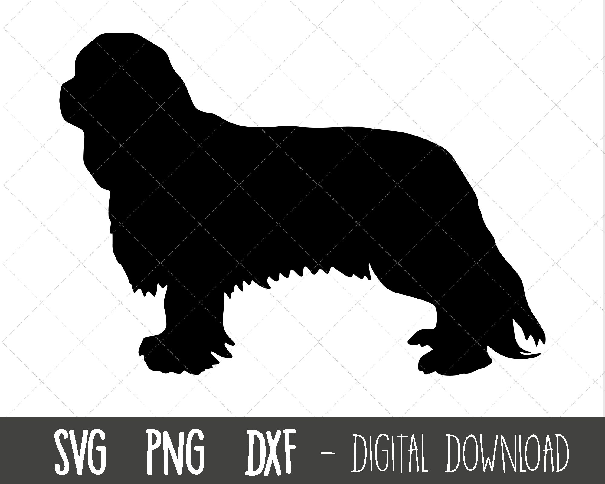 King Charles SVG, Dog Svg, King Charles Silhouette, King Charles ...