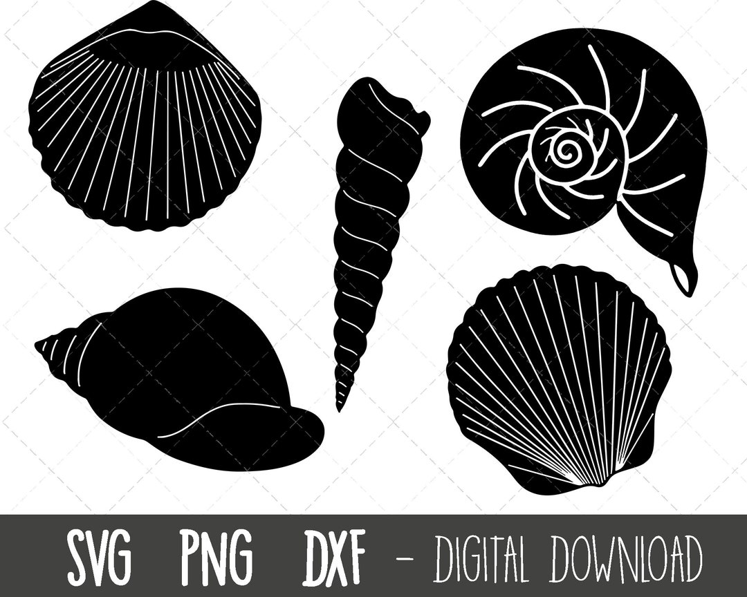 Sea Shell SVG Bundle, Seashell Svg, Shell Svg, Seashell PNG, Seashell ...