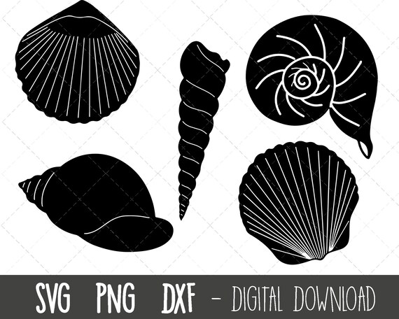 Sea Shell SVG Bundle Seashell Svg Shell Svg Seashell PNG | Etsy