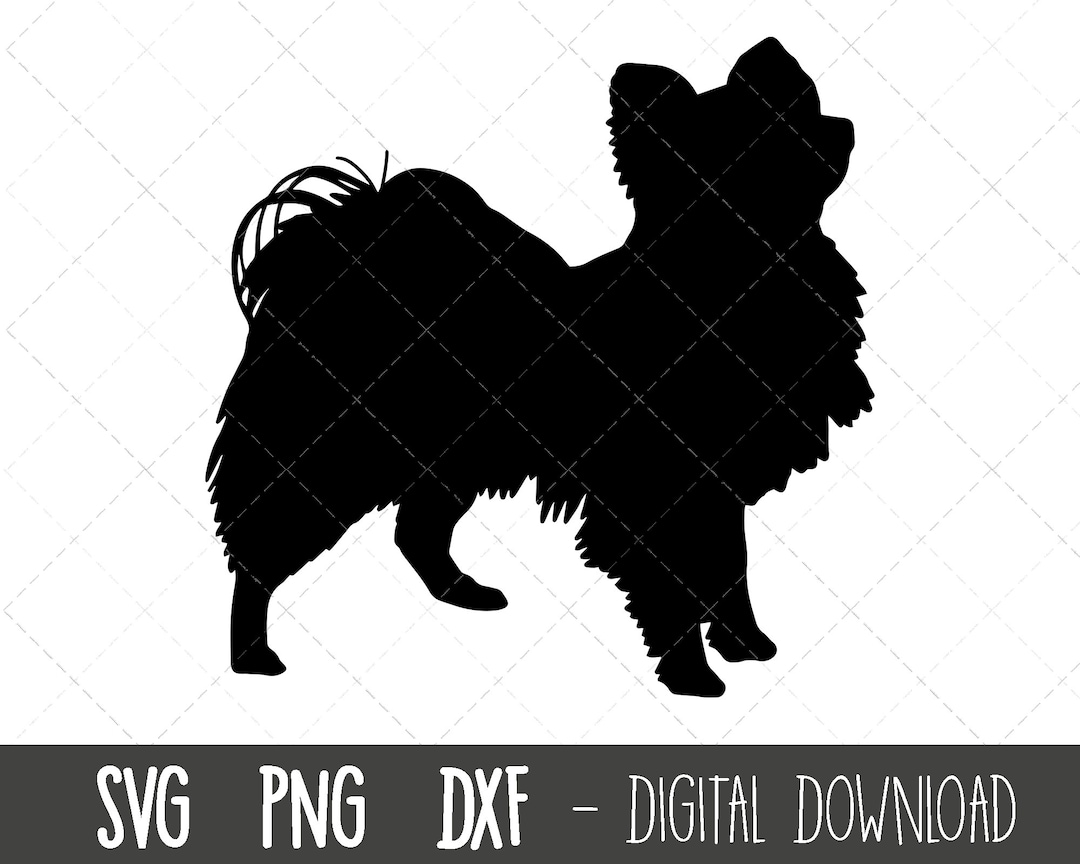 Papillon Svg, Dog Svg, Papillon Silhouette, Papillon Outline Png ...
