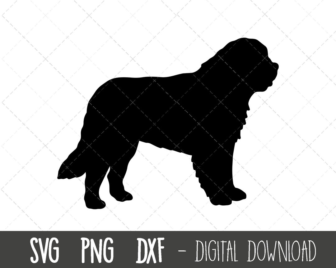 St. Bernard Svg, Dog Svg, St. Bernard Silhouette, St. Bernard Outline ...
