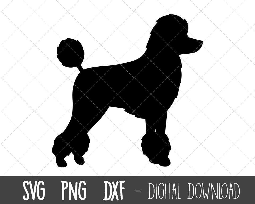 Poodle Svg, Dog Svg, Poodle Silhouette, Poodle Outline Png, Poodle ...