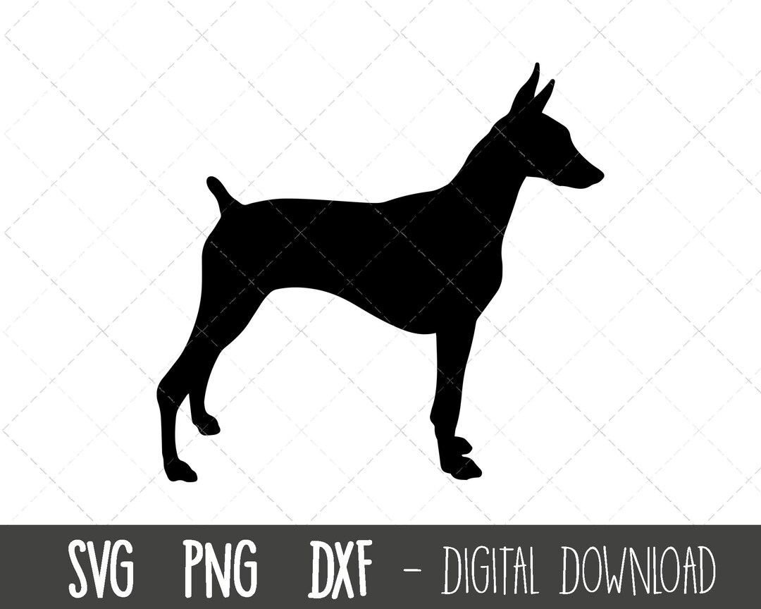 Doberman Svg, Dog Svg, Doberman Silhouette, Doberman Outline Png ...