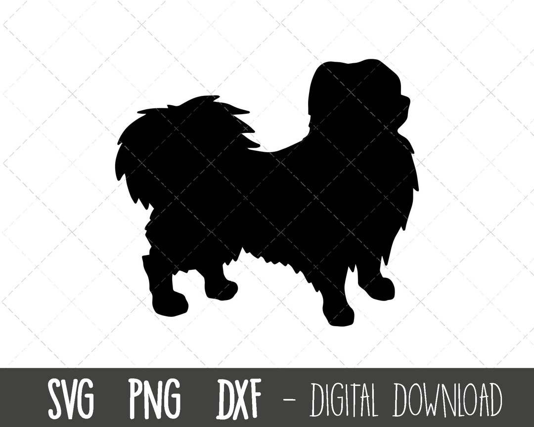 Pekingese Svg, Dog Svg, Pekingese Silhouette, Pekingese Outline Png ...