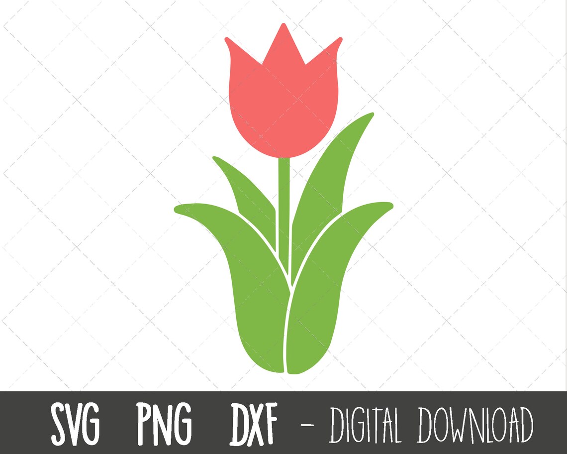 Tulip SVG Spring Flower SVG Flower Svg Flower Clipart | Etsy