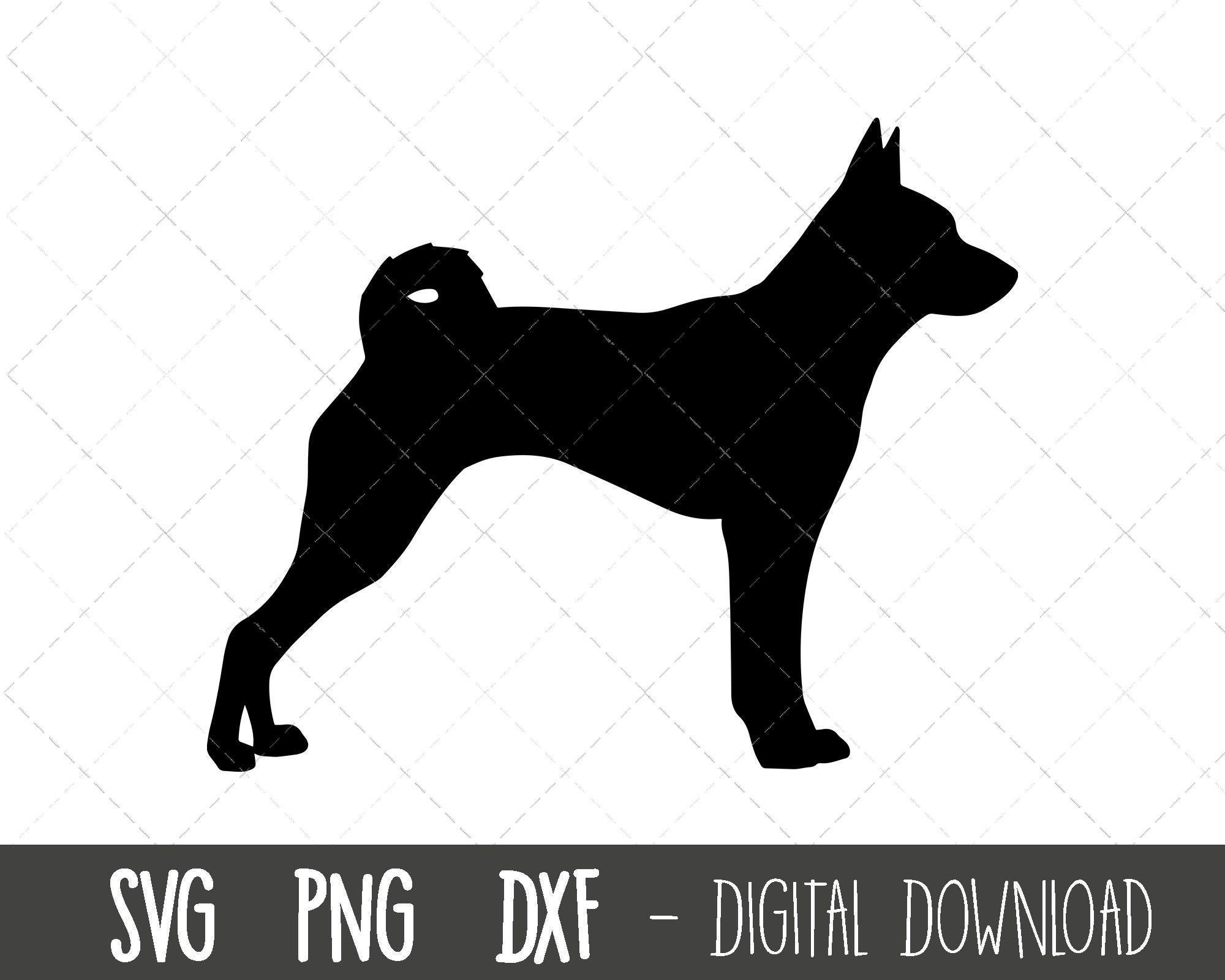Basenji Svg Dog Svg Basenji Silhouette Basenji Outline Png - Etsy