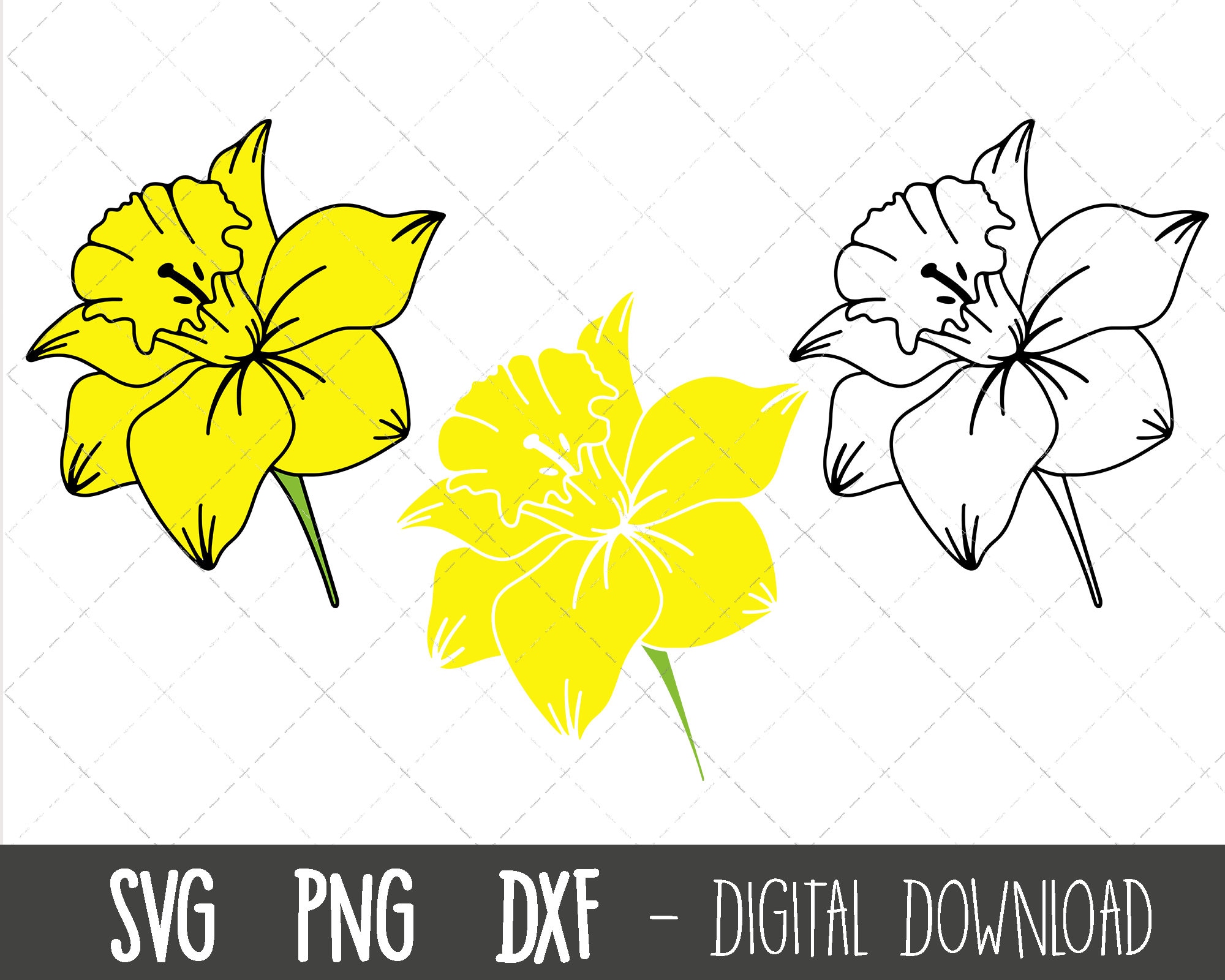 Daffodil SVG Spring Flower SVG Bundle Flower Svg Spring - Etsy Australia