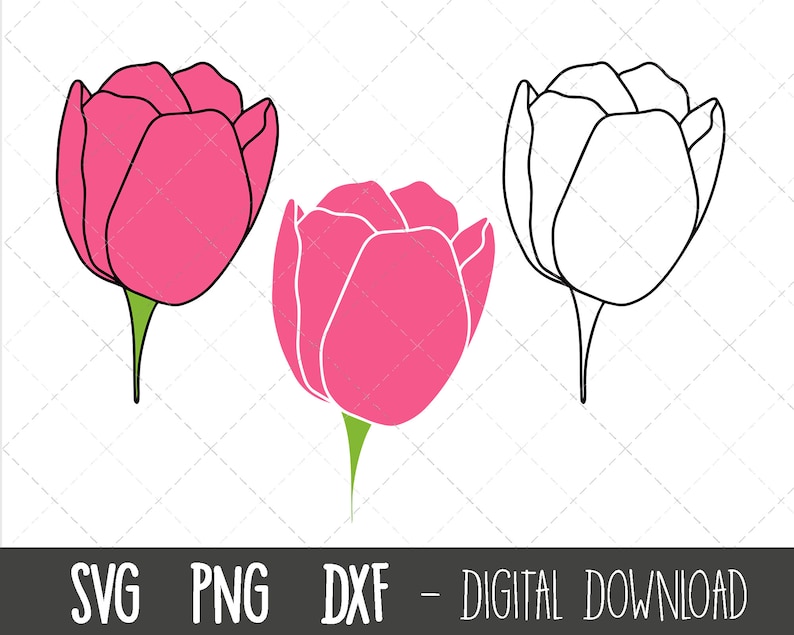 Tulip SVG Spring Flower SVG Flower Svg Flower Clipart - Etsy