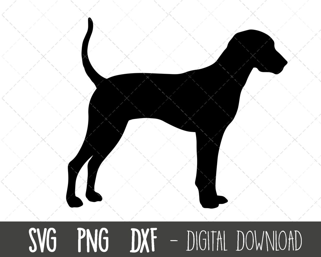Plott Hound Svg, Dog Svg, Plott Hound Silhouette, Plott Hound Outline ...