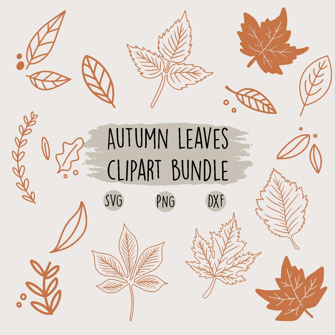 Fall Leaves SVG, Autumn Leaves Svg Clipart, Leaves Clipart Bundle ...