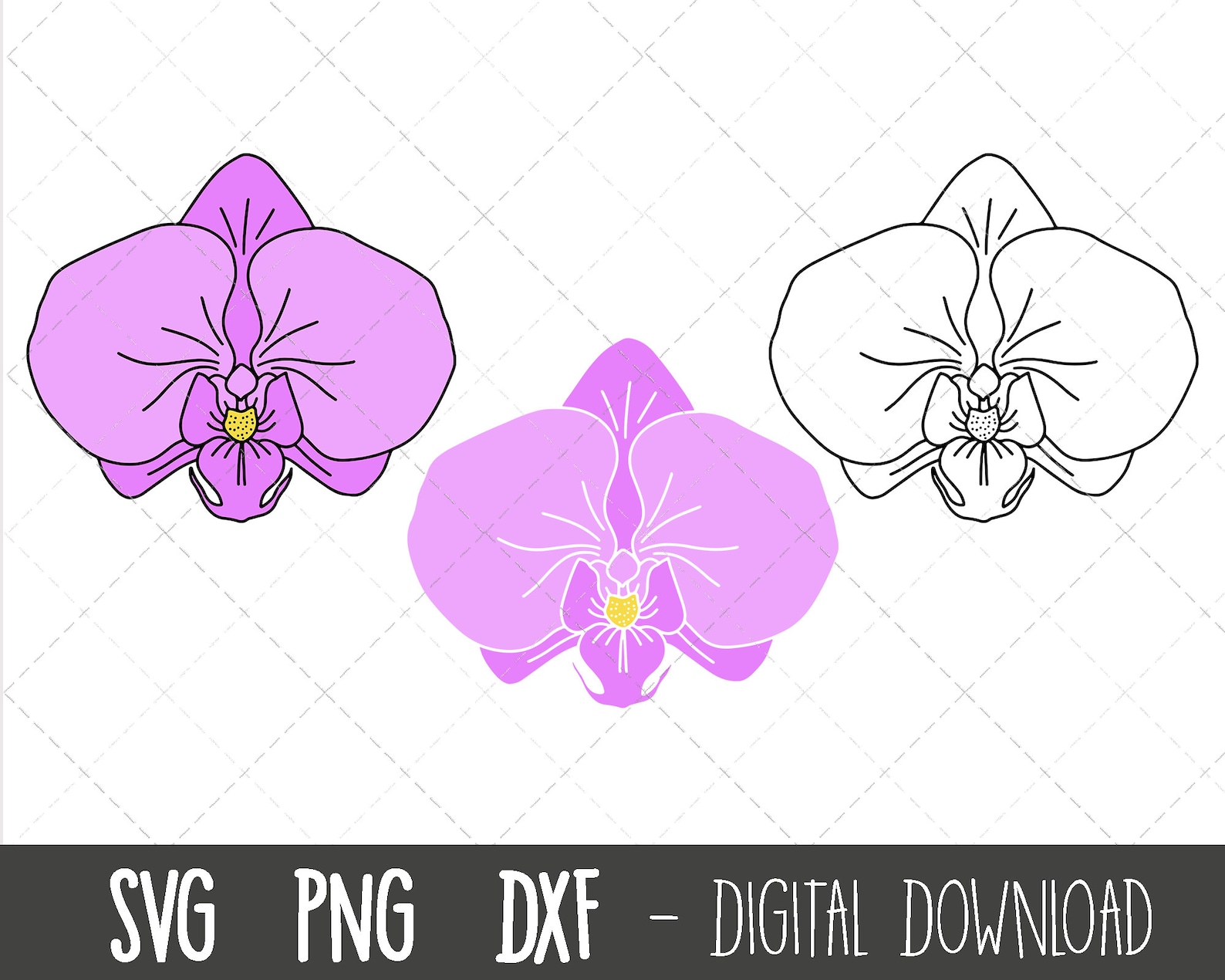 Orchid SVG Spring Flower SVG Bundle Flower Svg Spring - Etsy