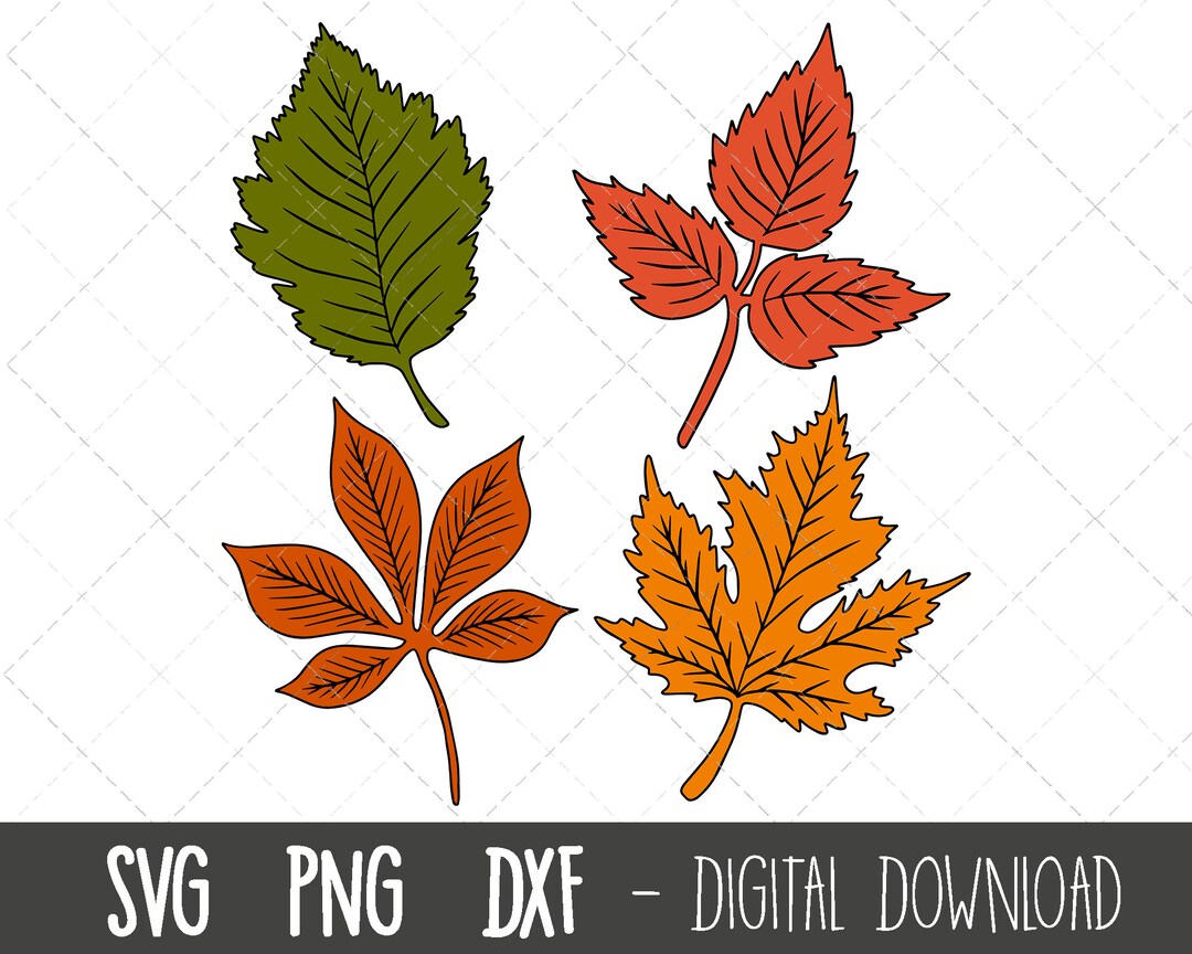 Fall Leaves SVG, Autumn Leaves Svg Clipart, Leaves Clipart Bundle ...