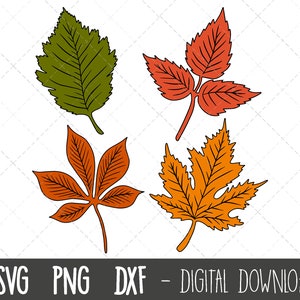 Fall Leaves SVG, Autumn Leaves Svg Clipart, Leaves Clipart Bundle ...