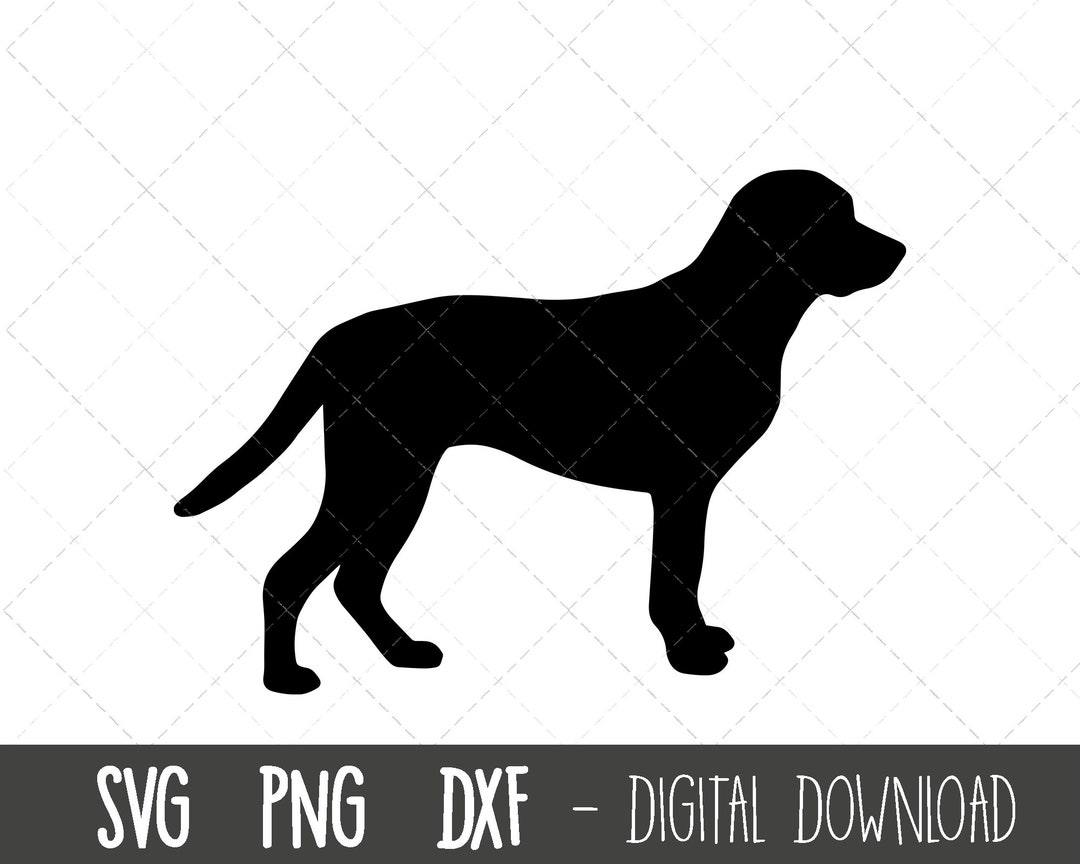 Goldador Svg, Dog Svg, Goldador Silhouette, Goldador Outline Png ...