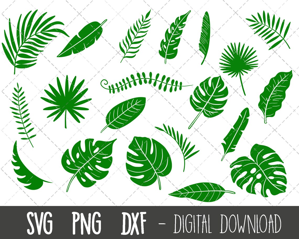 Botanical Leaves SVG Bundle Tropical Leaves Svg Monstera | Etsy