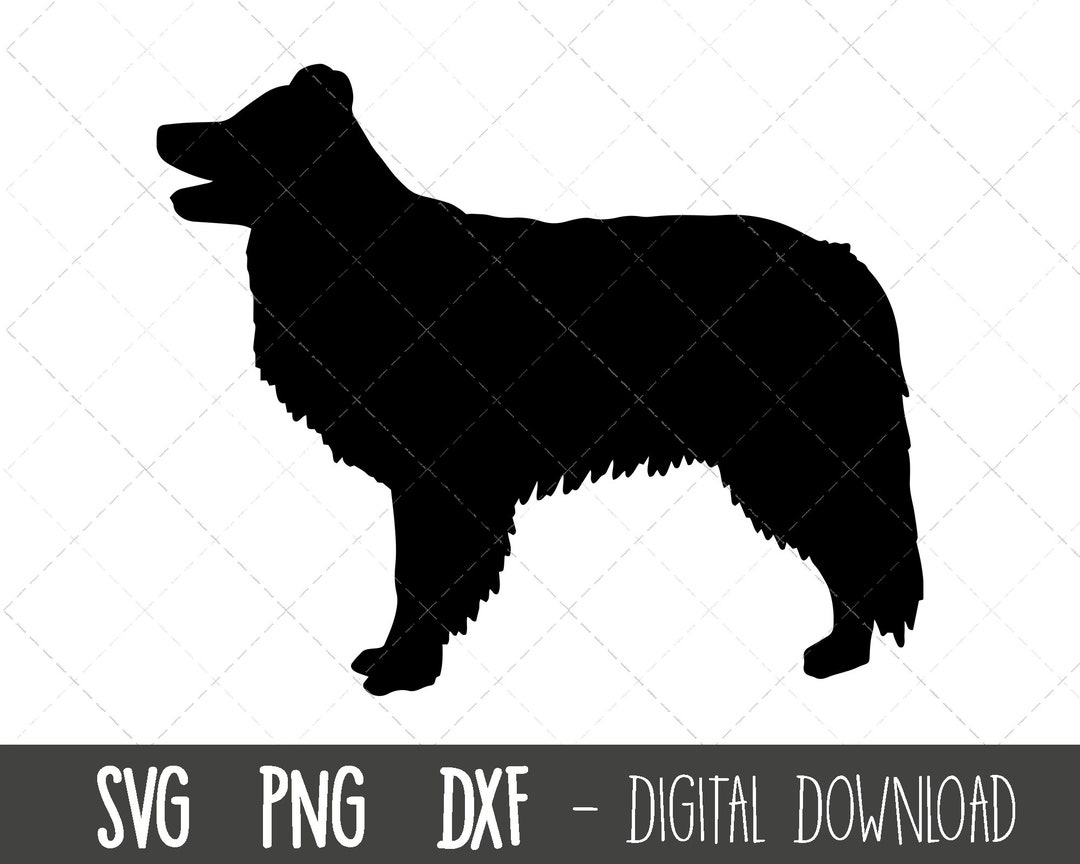 Border Collie Svg, Dog Svg, Border Collie Silhouette, Collie Outline ...