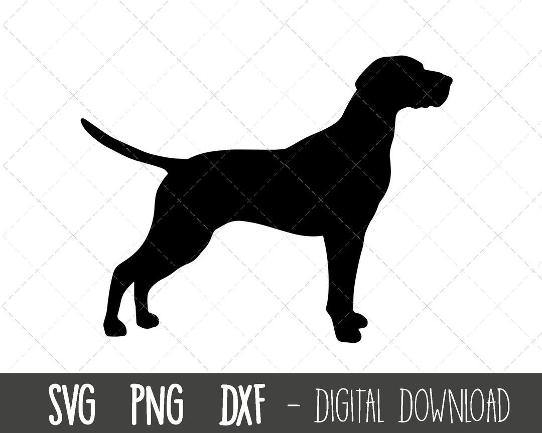 English Pointer Svg, Dog Svg, English Pointer Silhouette, English ...
