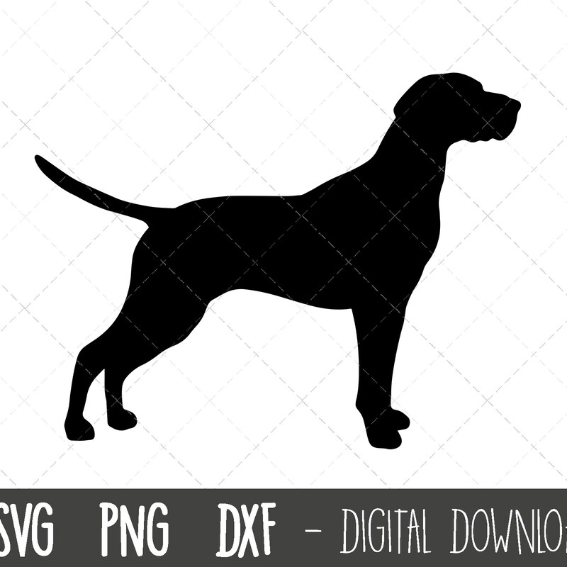 English Pointer Dog - Etsy