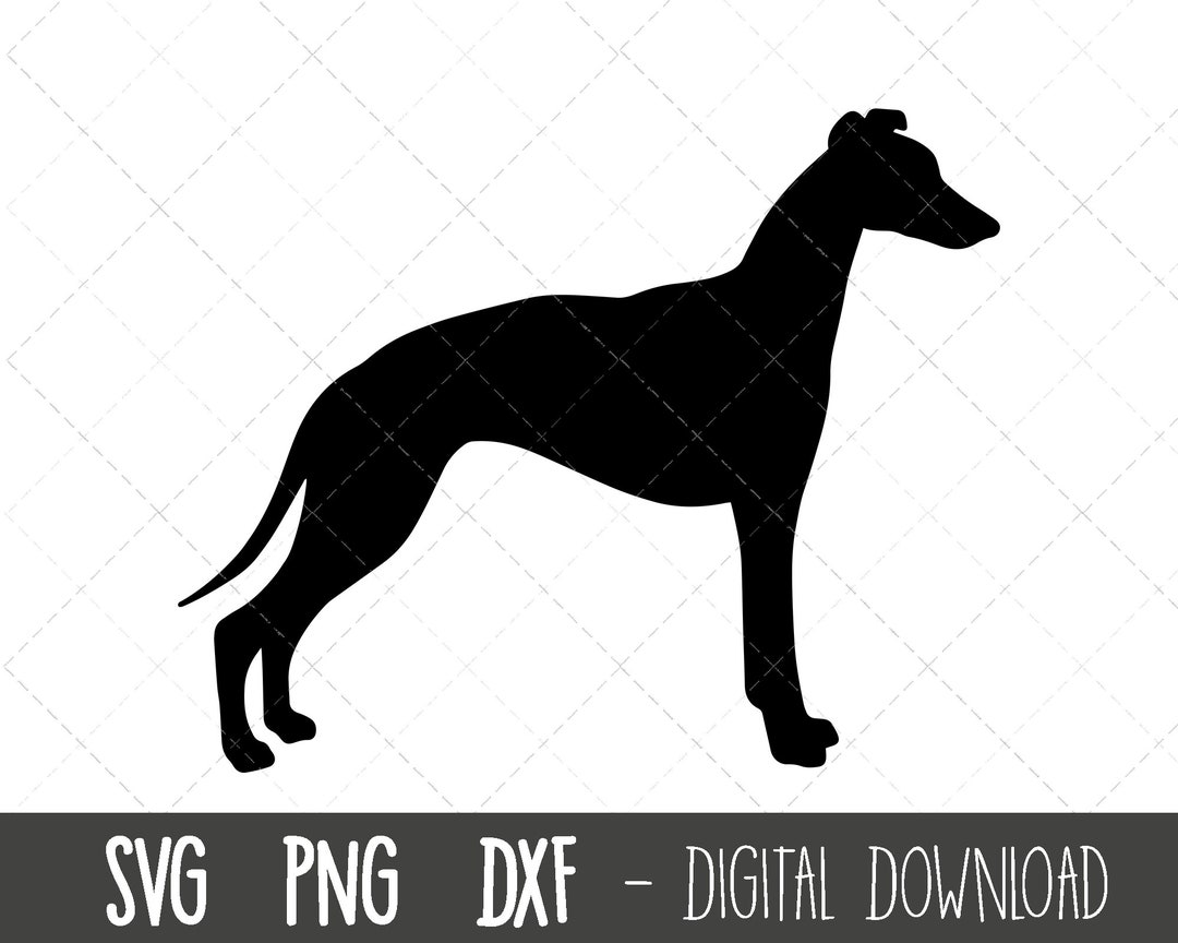 Whippet Svg, Dog Svg, Whippet Silhouette, Whippet Outline Png, Whippet Clipart, Dog Pet Png, Dxf ...