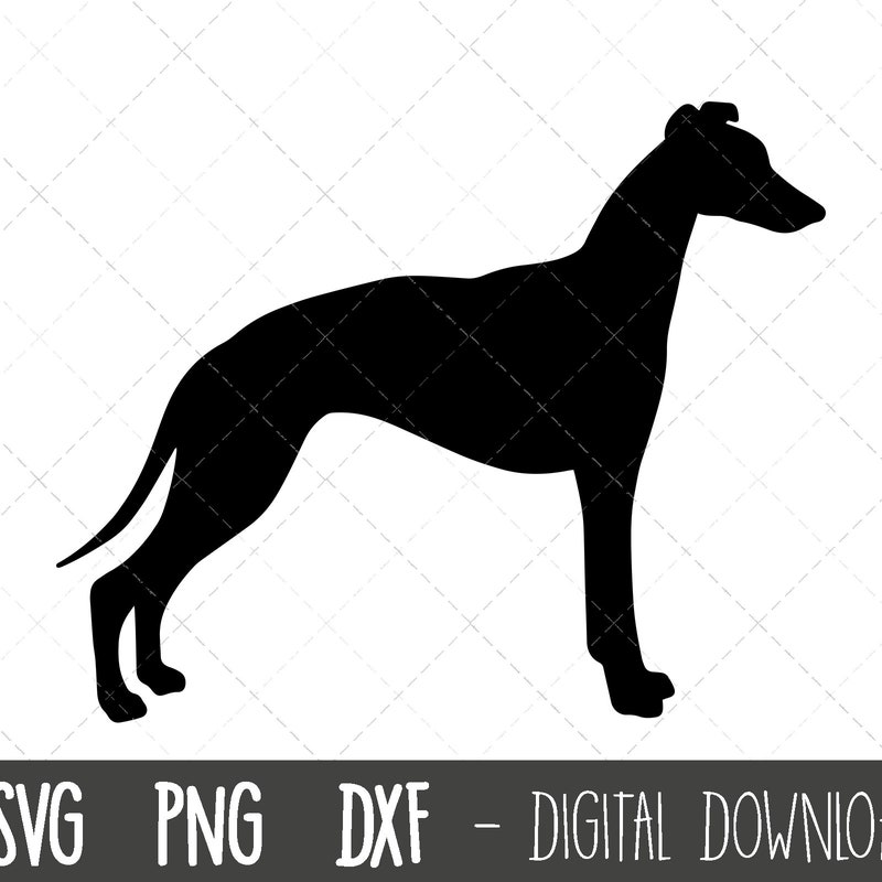 Whippet Svg - Etsy