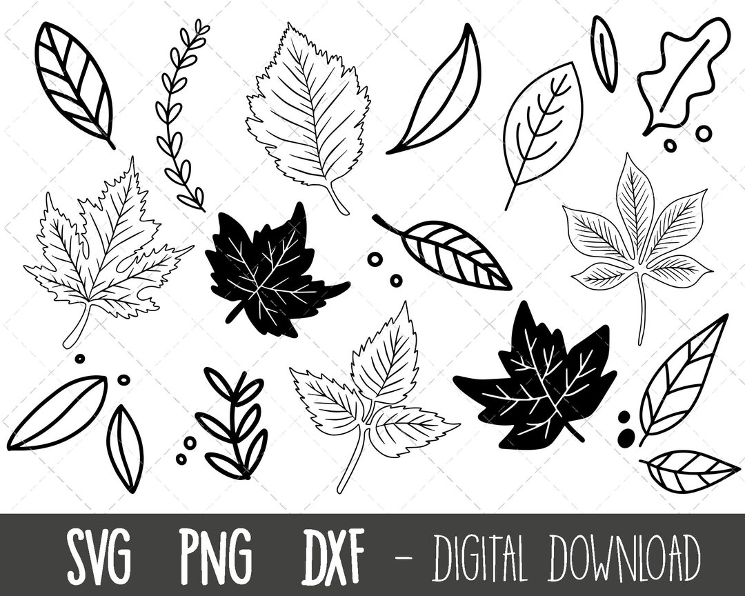 Fall Leaves SVG, Autumn Leaves Svg Clipart, Leaves Clipart Bundle ...